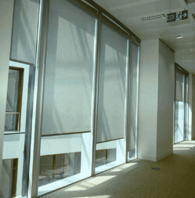 Window Blinds